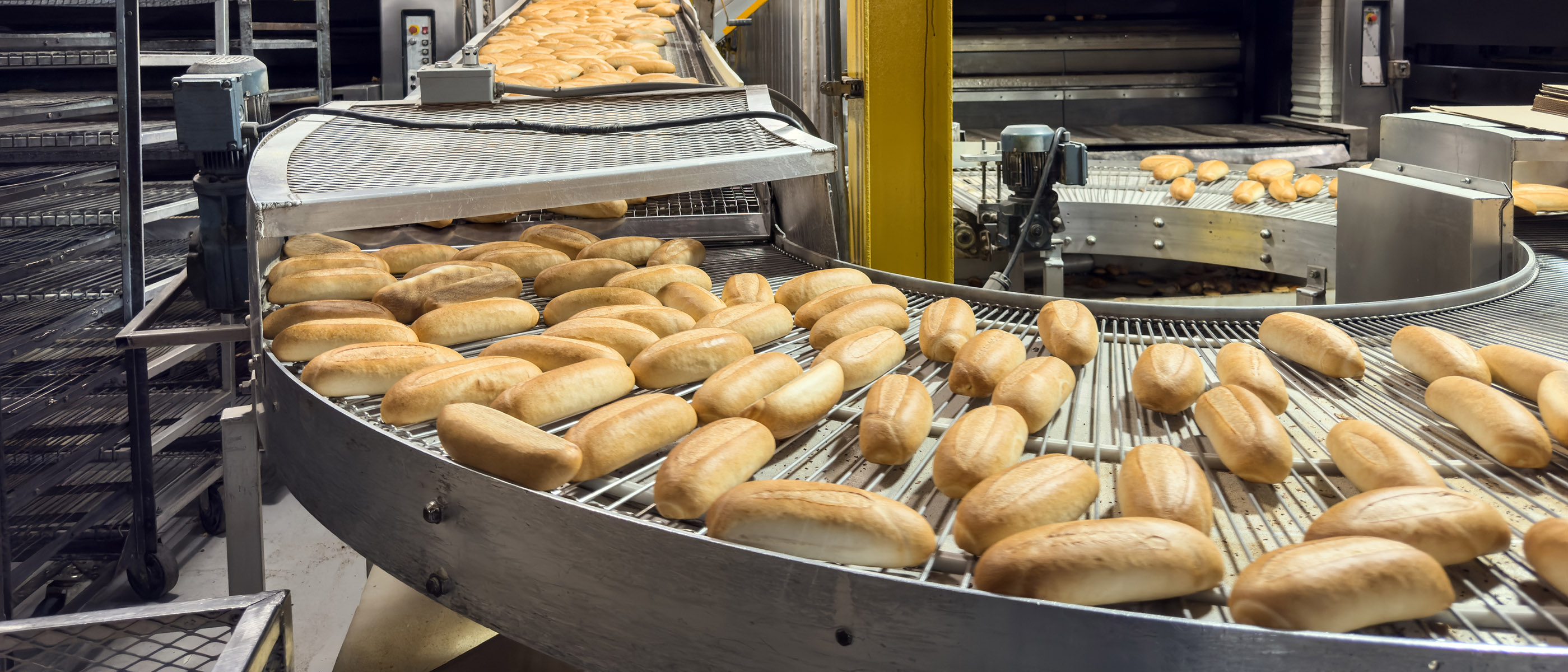 Signature Breads | Mantis Innovation